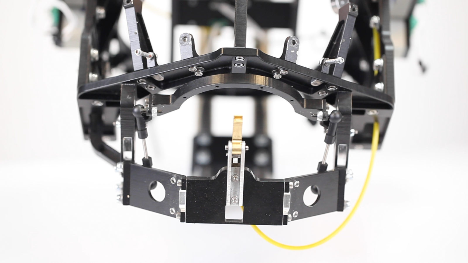 Fictiv Case Study: Animax Designs