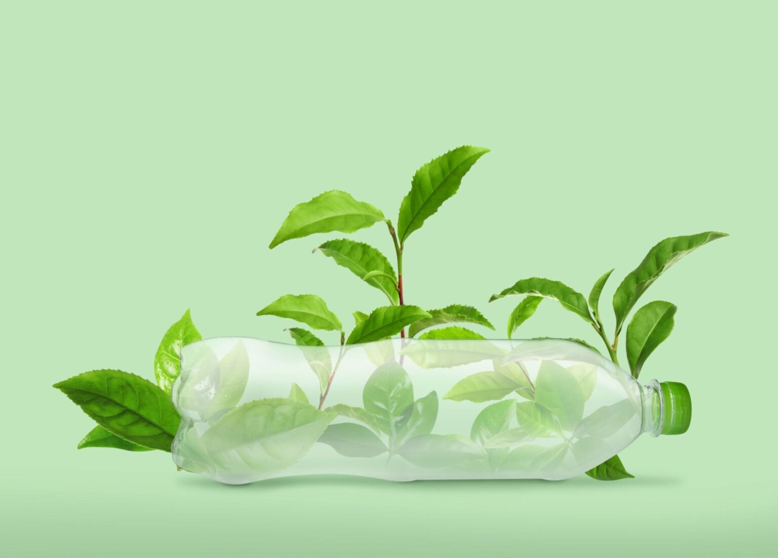 Sustainable Plastics in Manufacturing and Injection Molding